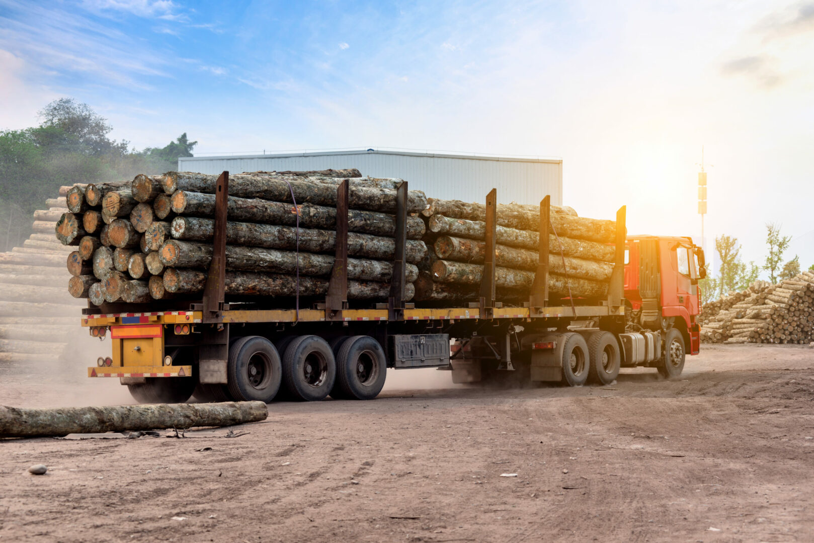 International transport of wood - Centrimex